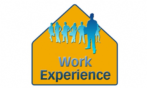 Warlingham School & Sixth Form College - Year 12 Work Experience Week